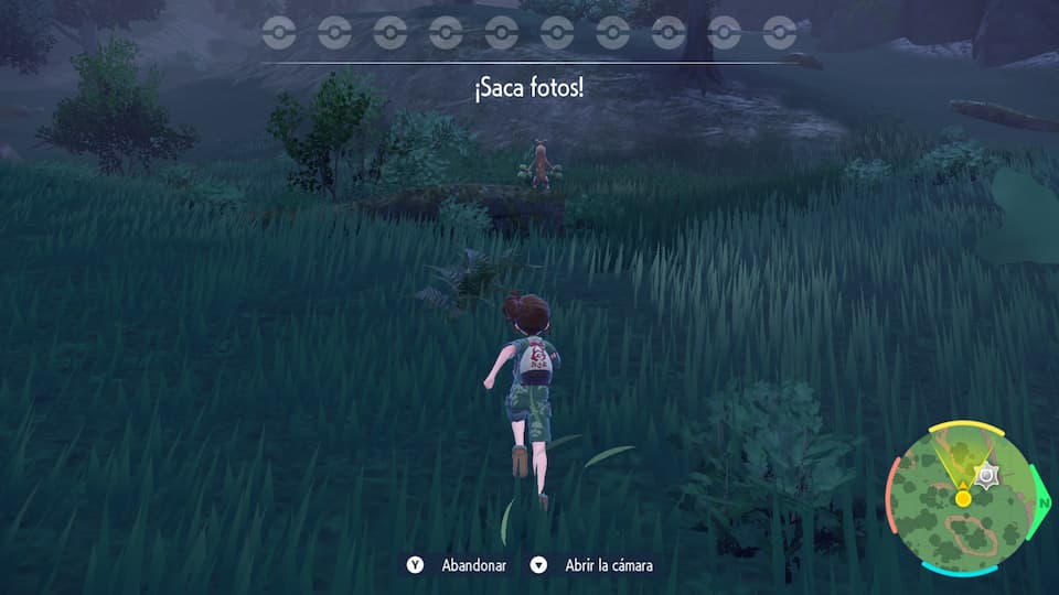 Pokémon Scarlet y Pokémon Violet | Soto Sempiterno
