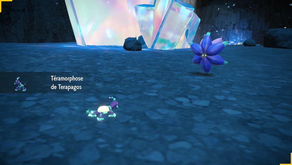 Pokémon Écarlate et Pokémon Violet | Terapagos Forme Normale